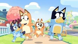 Bluey (TV) Cast - All Actors and Actresses